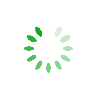 Boisson Gazeuse Mojito BOGA 50cl